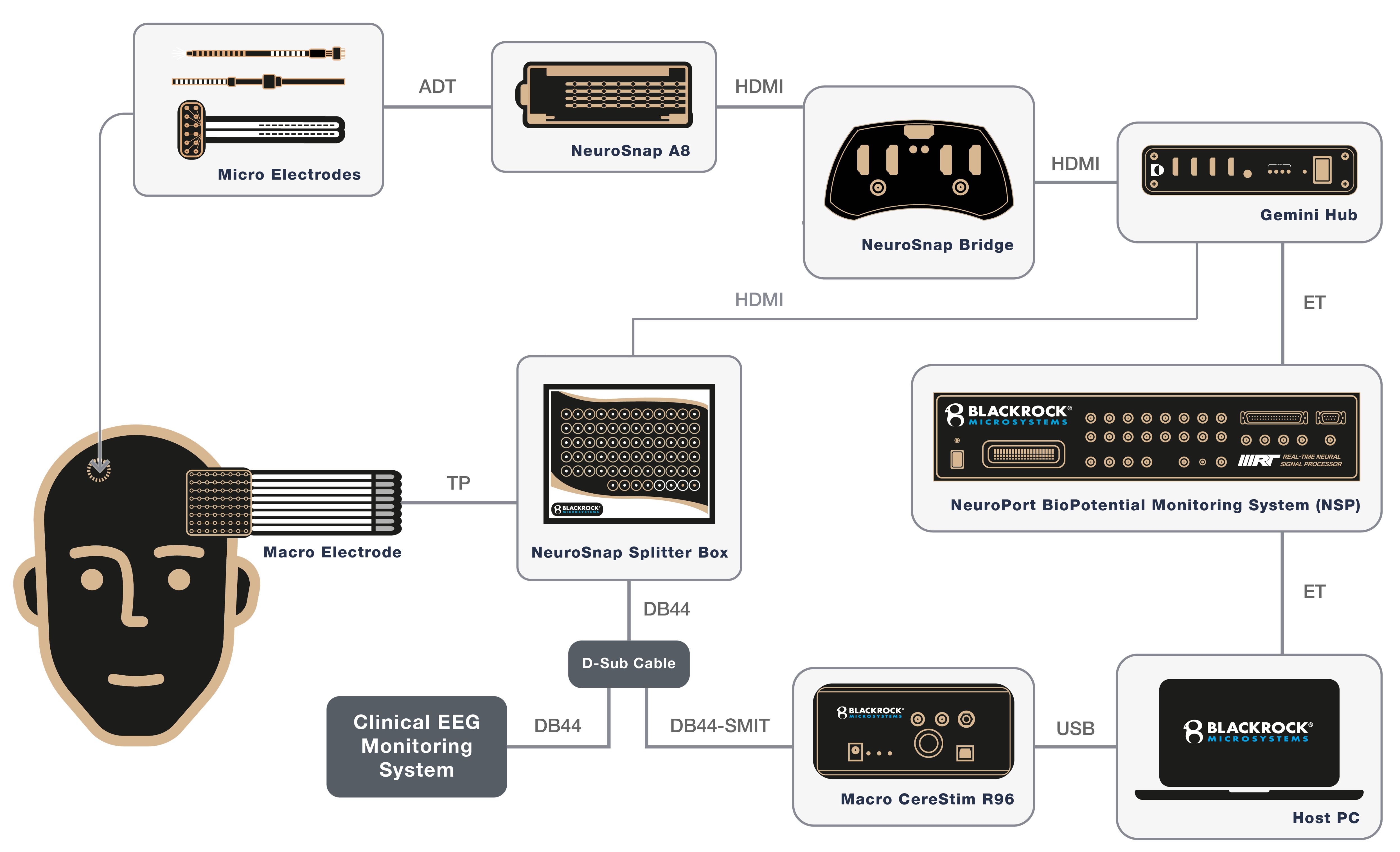 NeuroSnap Splitter Box, Headstages | Products | Blackrock Neurotech